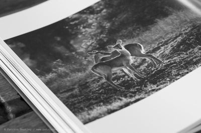 Ethically Sourced, Handcrafted Homeware & Gifts - Lusaka Collective ...