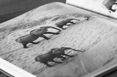 Ethically Sourced, Handcrafted Homeware & Gifts - Lusaka Collective ...